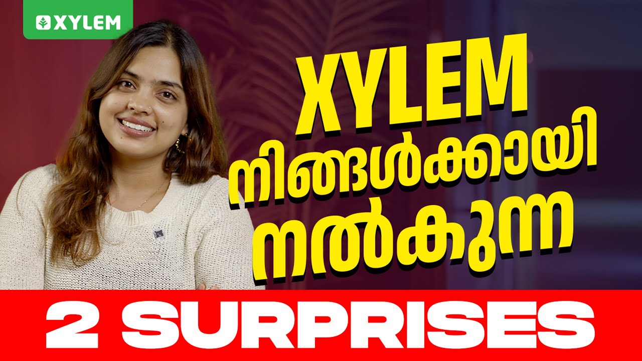 XYLEM നിങ്ങൾക്കായി നൽകുന്ന 2 SURPRISES.. | Xylem Plus One - YouTube
