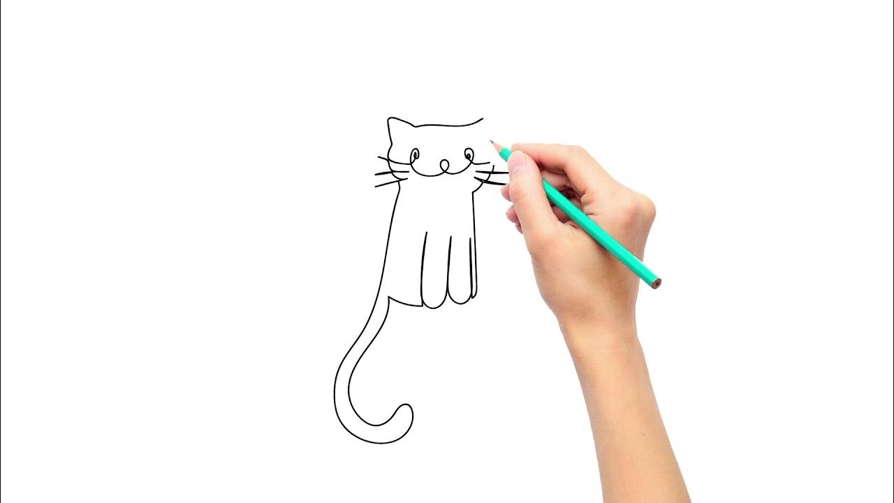Whiteboard animation. Hand drawing outline cat - YouTube