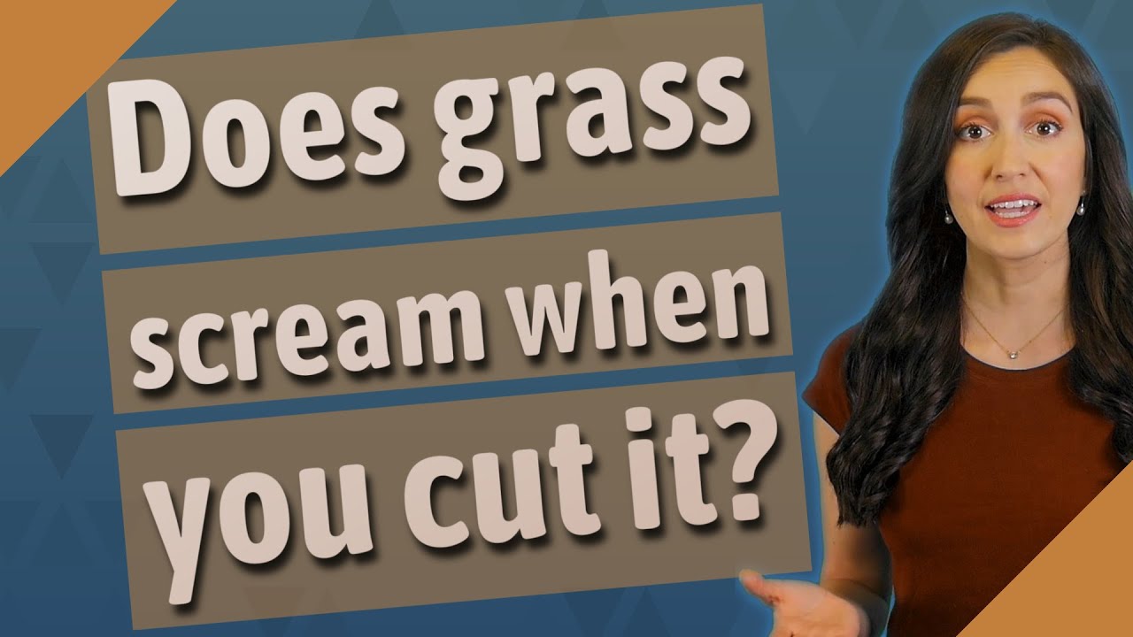 Does grass scream when you cut it? - YouTube