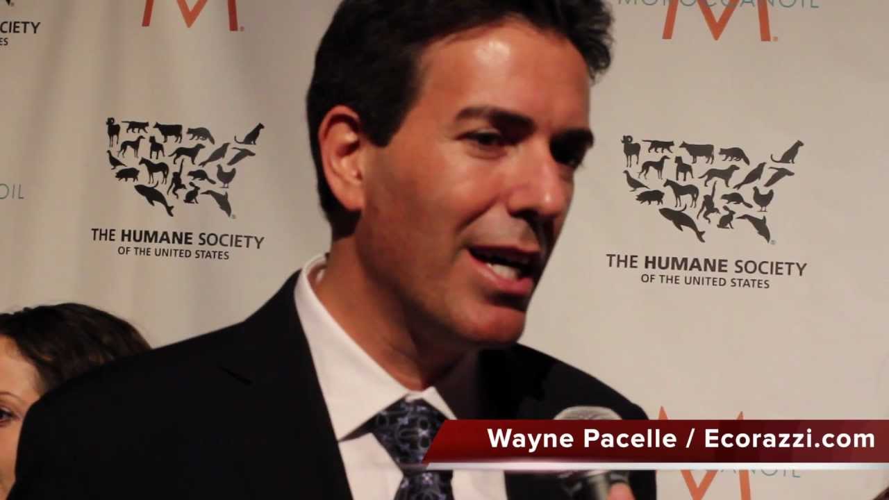 Wayne Pacelle on Animal Rescue at the HSUS Gala - YouTube