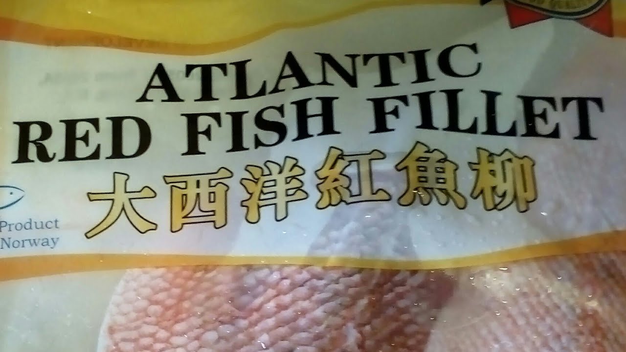 Defrozen Atlantic Red Fish Fillet /Do this before frying it! - YouTube