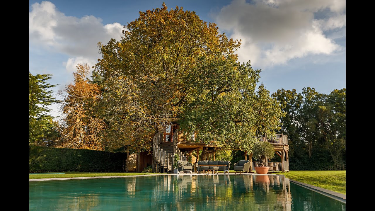 Why build a Blue Forest treehouse? - YouTube