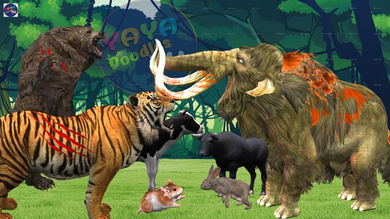 Tiger vs Woolly Mammoth Vs Woolly Tiger Greatest Fight With Saber Tooth ...