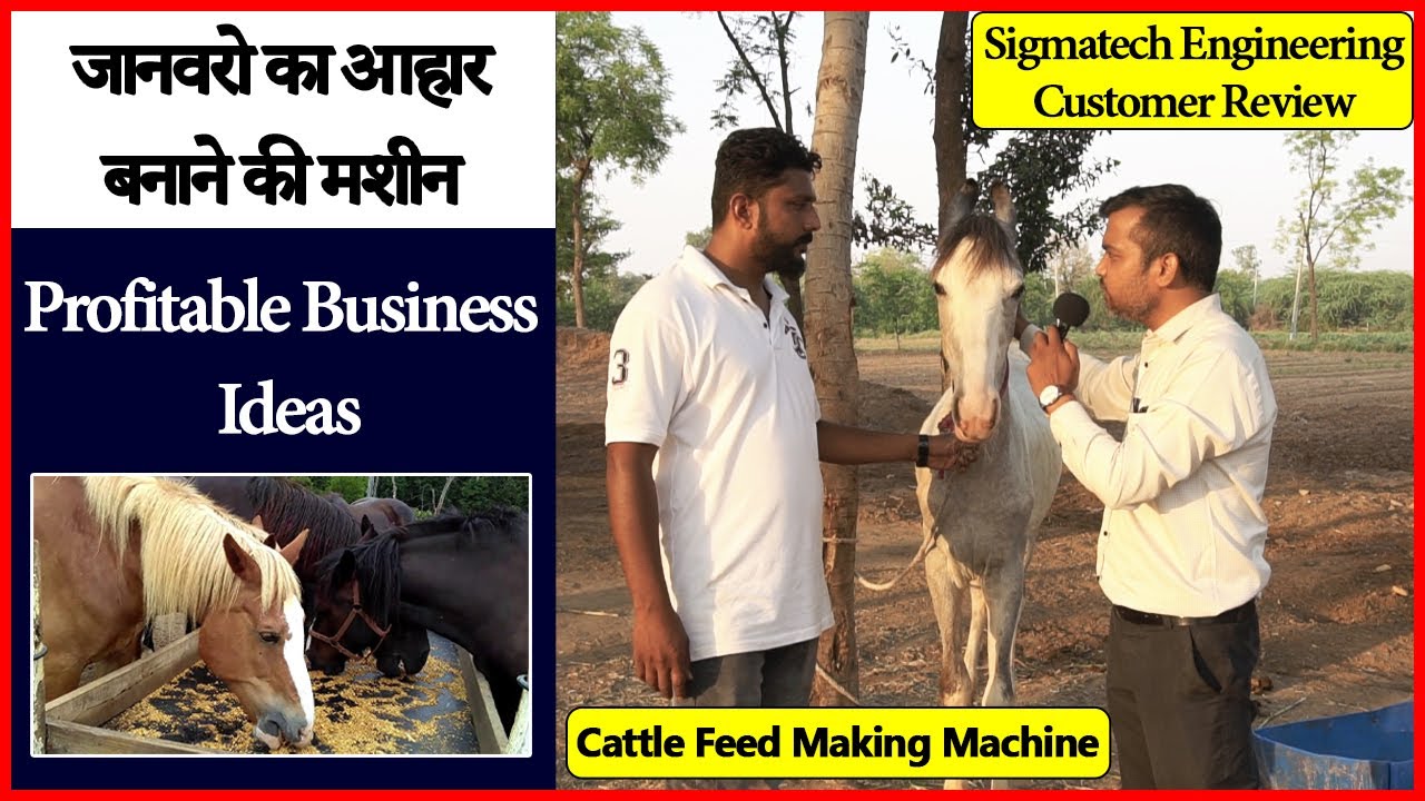 पशु चारा बनाने की मशीन के लाभ | Animal feed making Machine | Sigmatech Engineering – 2022 - YouTube