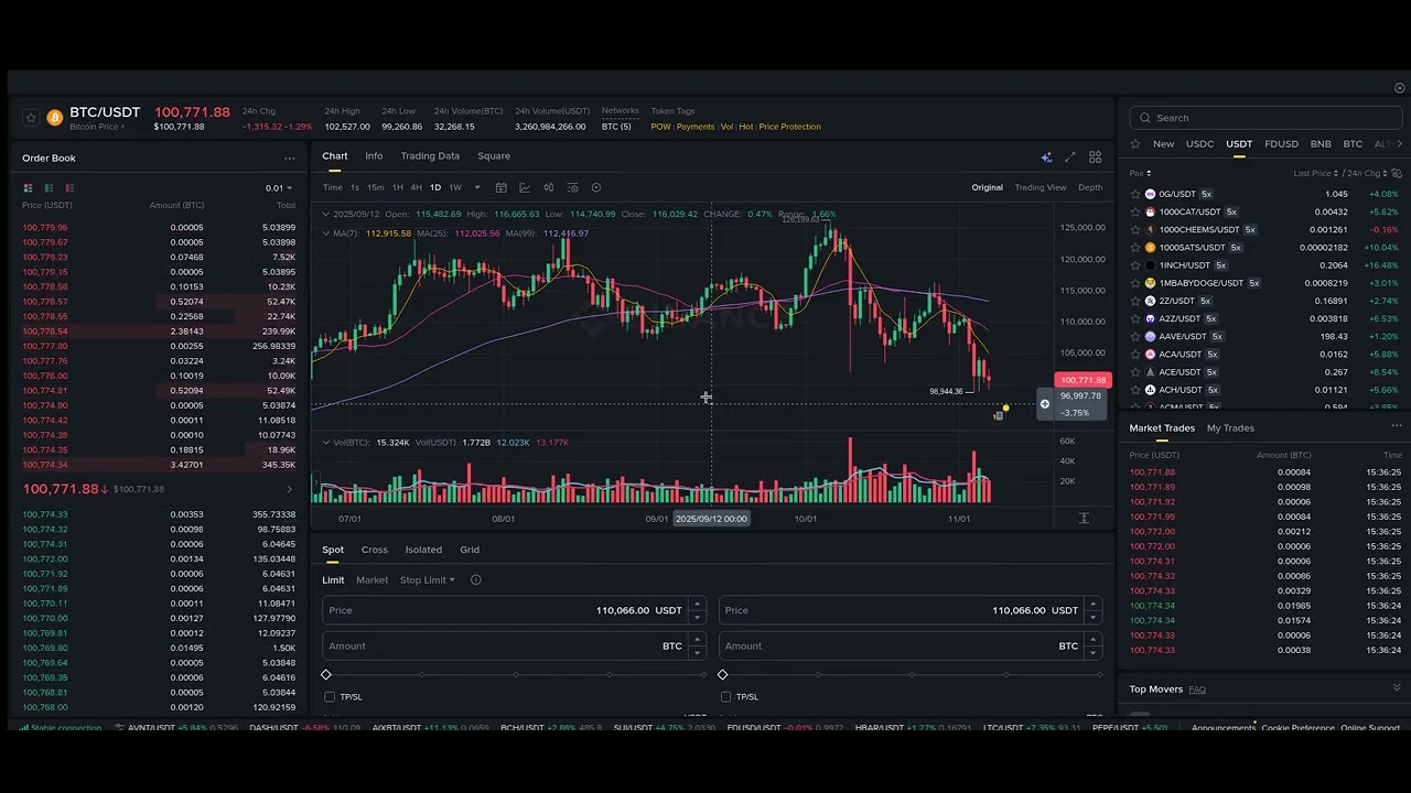 LIVE BTC/USDT CHART: Real-Time Bitcoin Price Tracker (Current Market ...