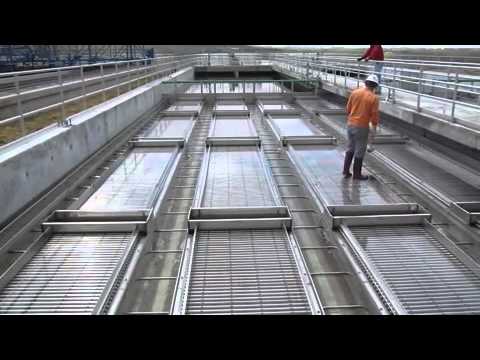 Walking on Plates - YouTube