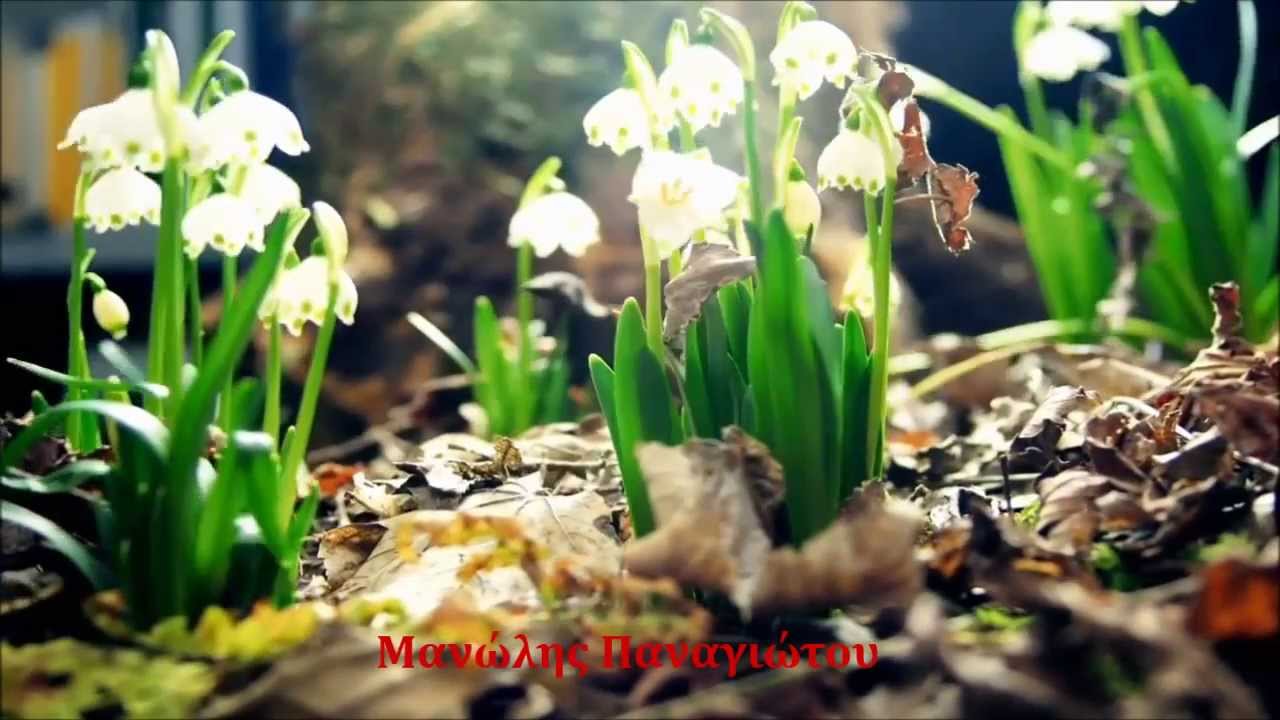 Ώρα καλή σου κι ας πονώ!Μανώλης Παναγιώτου(Σαπουντζής) - YouTube