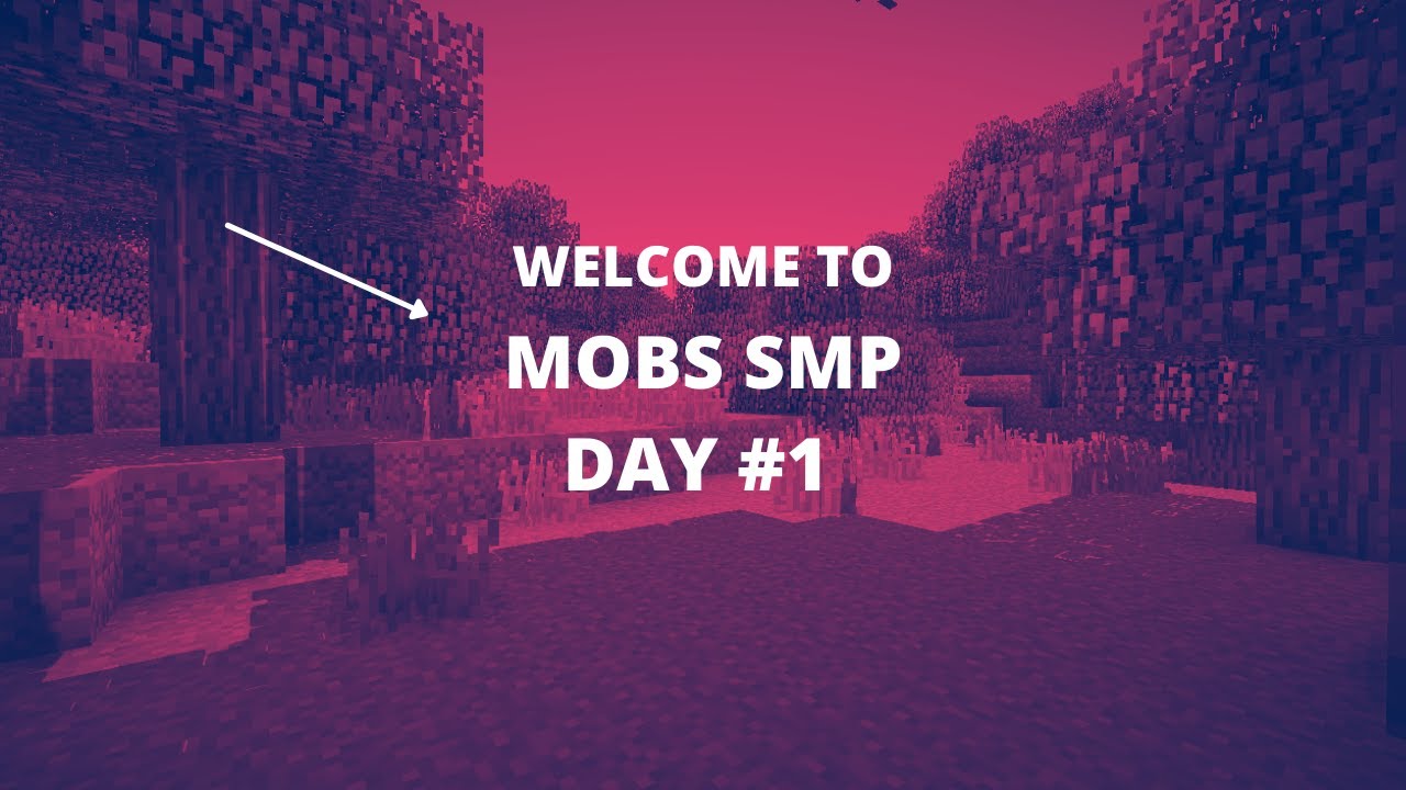 Welcome To MOBS SMP | DAY #1 - YouTube
