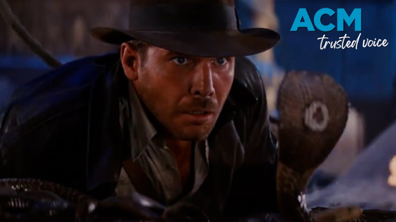Newly discovered snake species named after Harrison Ford - YouTube