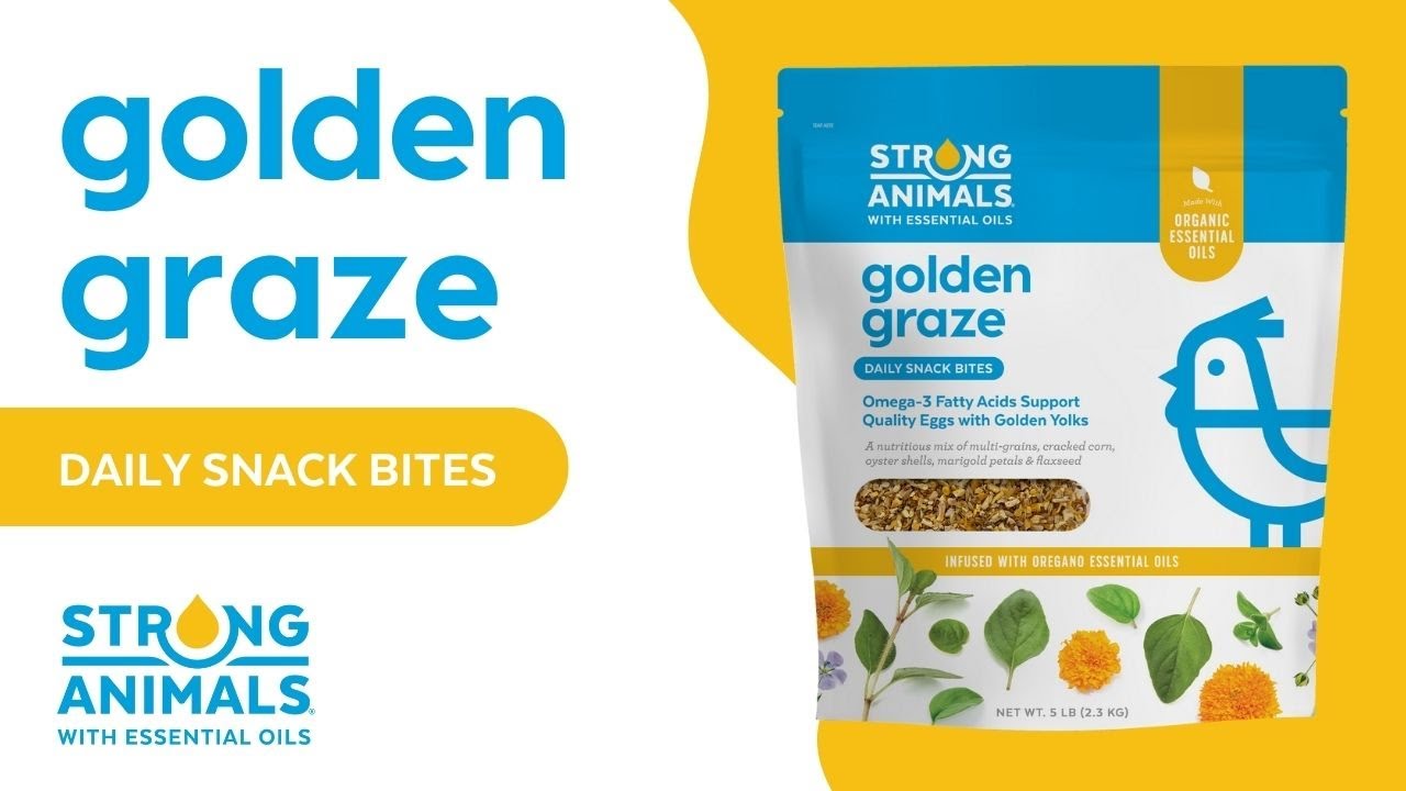 Golden Graze™ | Strong Animals® Chicken Essentials - YouTube