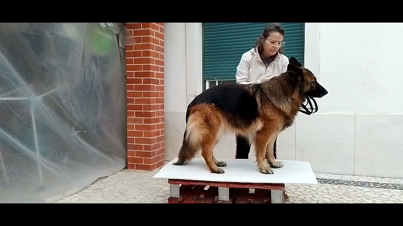 17 de maio de 2024 - YouTube