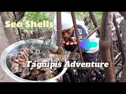 Tagnipis Adventure - YouTube