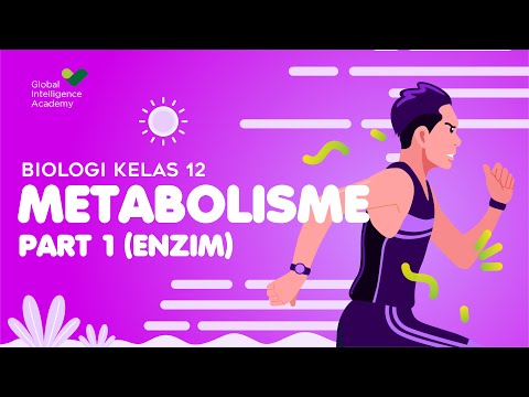 BIOLOGI SMA Kelas 12 - Metabolisme Part 1 (Enzim) | GIA Academy