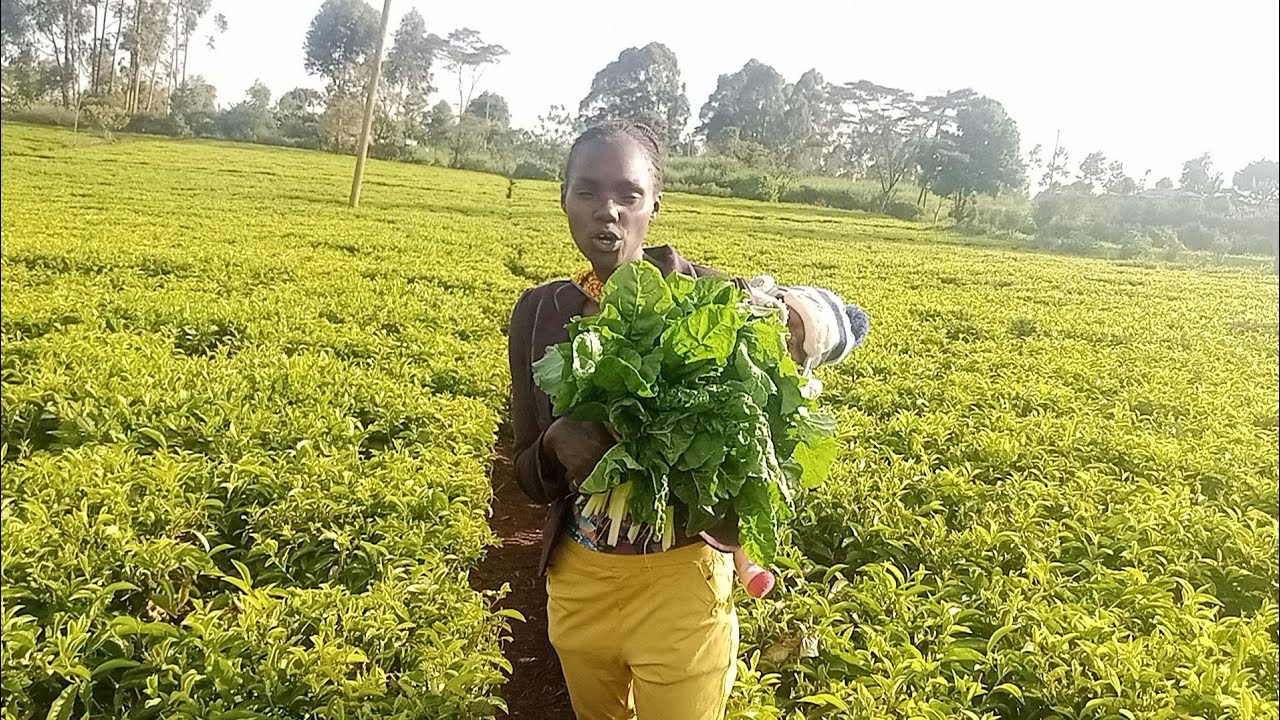 African village life// thenks giving vedio.twasema asanti. - YouTube