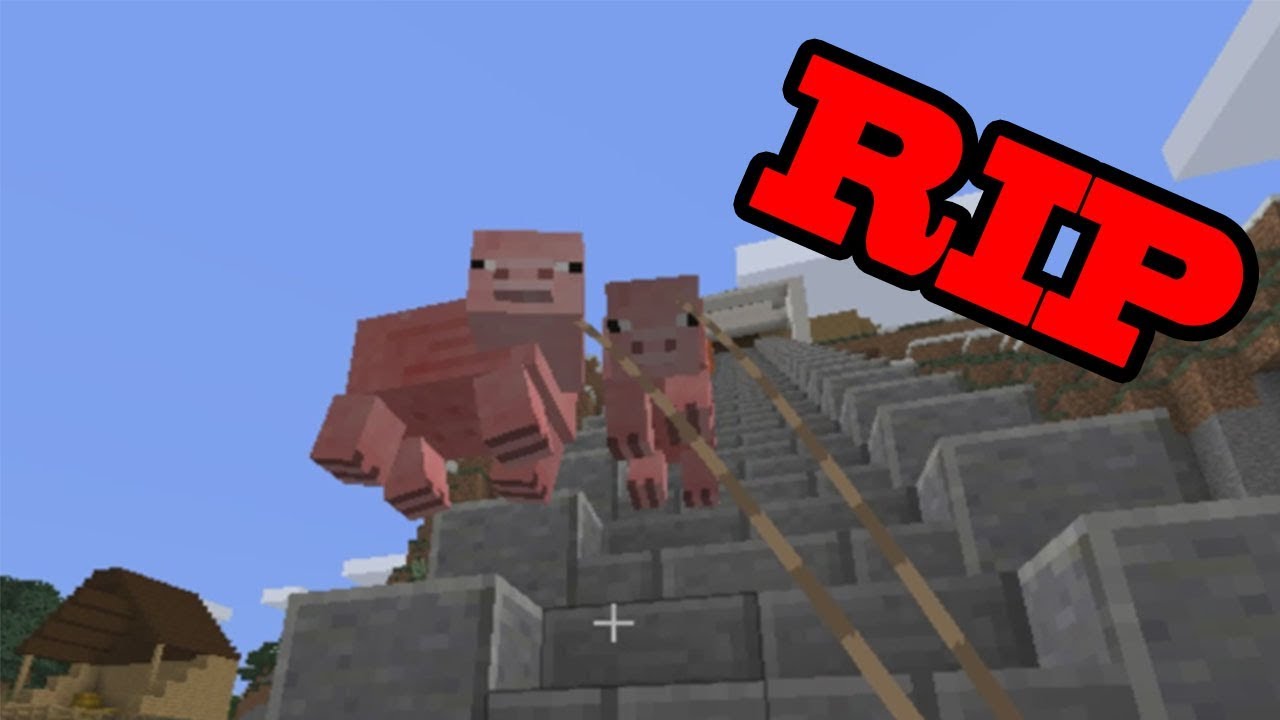 L-am omorat pe Salbaticul Sebi(purcelul) - YouTube