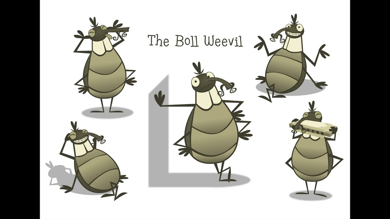 The Boll Weevil Song - YouTube