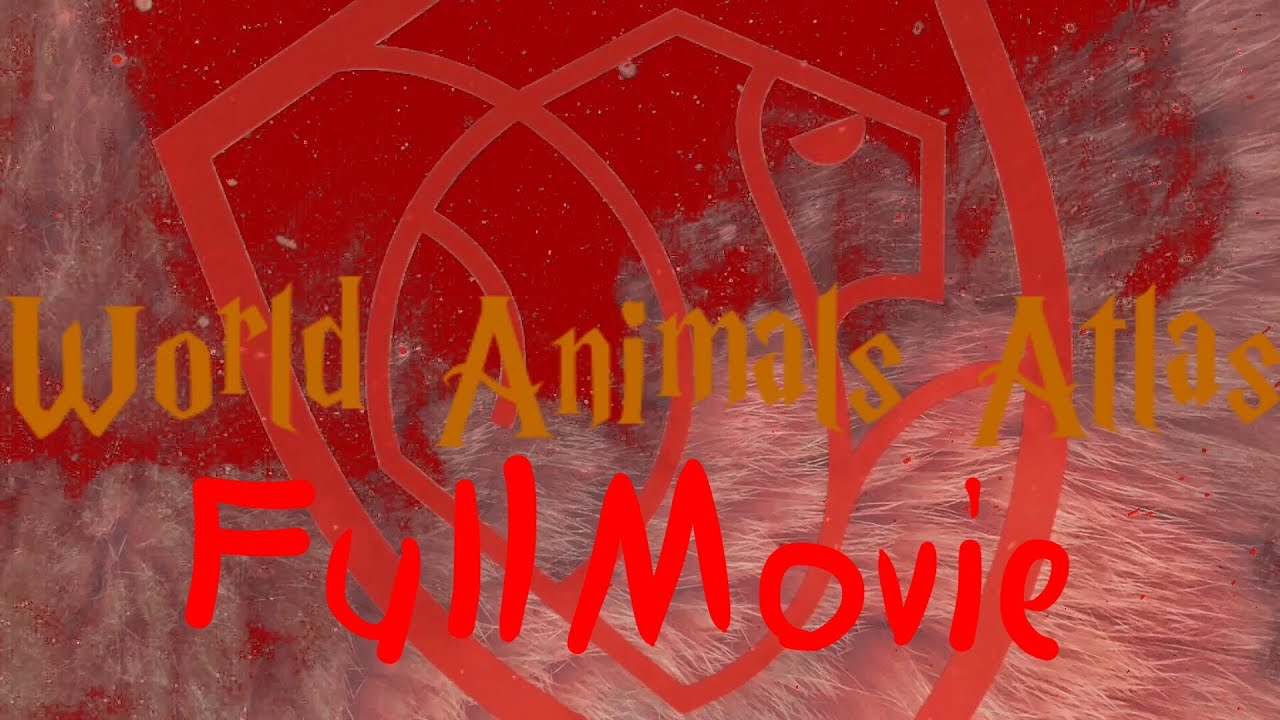 World Animals Atlas Full Movie - YouTube