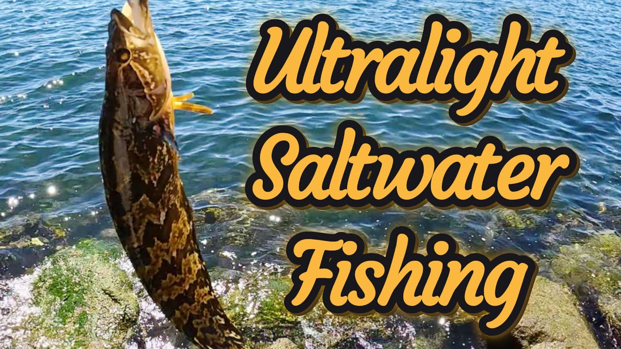 Ultralight Saltwater Fishing King Harbor California - YouTube