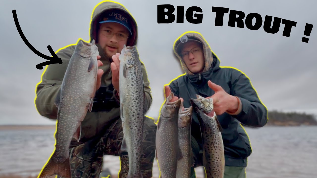 How To Catch BIG BROOK TROUT in Newfoundland ! ( Fish After Fish ...