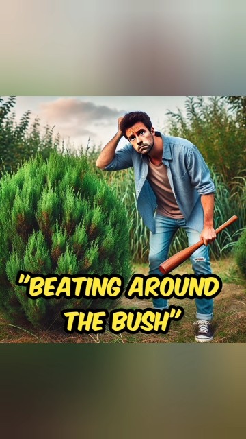 Beating around the bush - YouTube