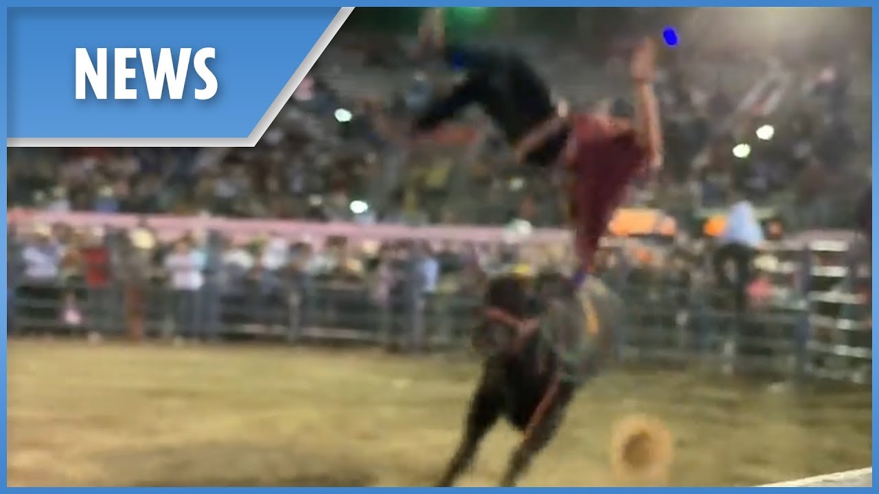 Man trying to fetch his phone sent FLYING by a bull - YouTube