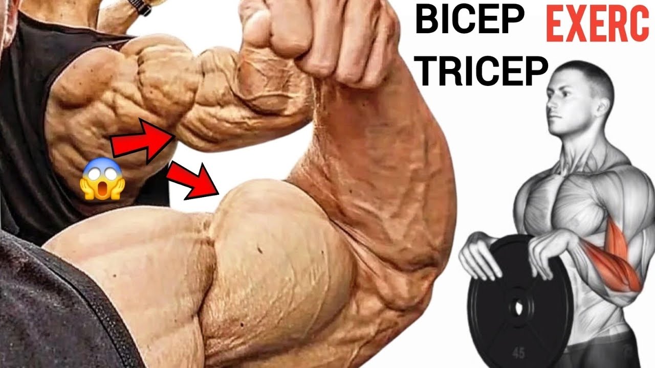 Best TRICEP & BICEP Exercises To Build Bigger TRICEP & BICEP Muscle ...
