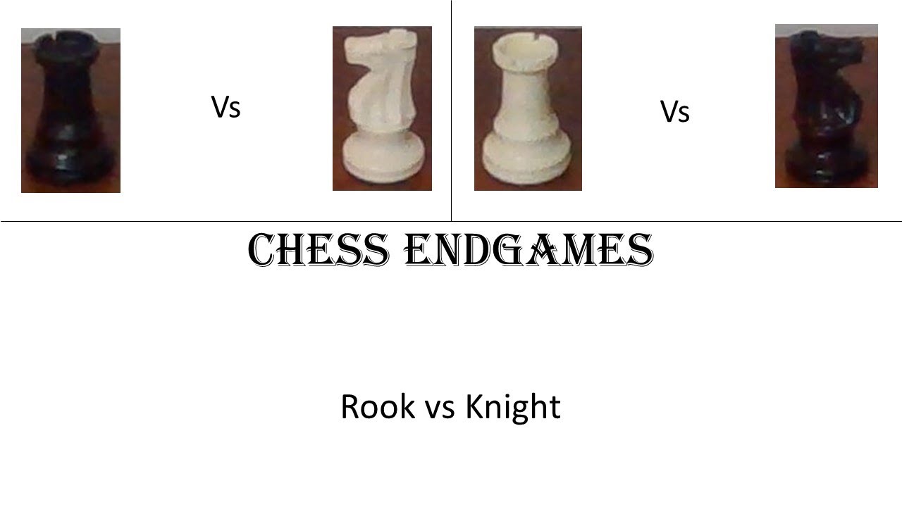 Chess Endgames | Rook vs Knight | ACD - YouTube