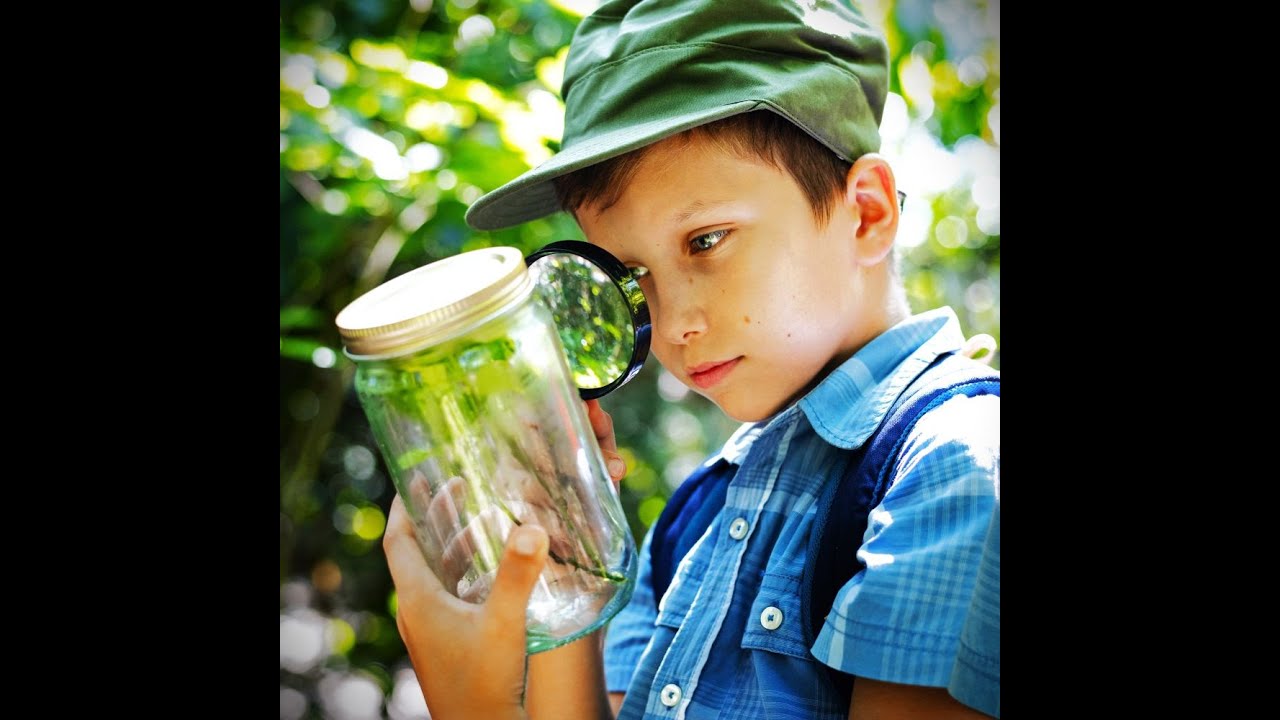 Collecting Clues. It’s Your Weekend Update. - YouTube