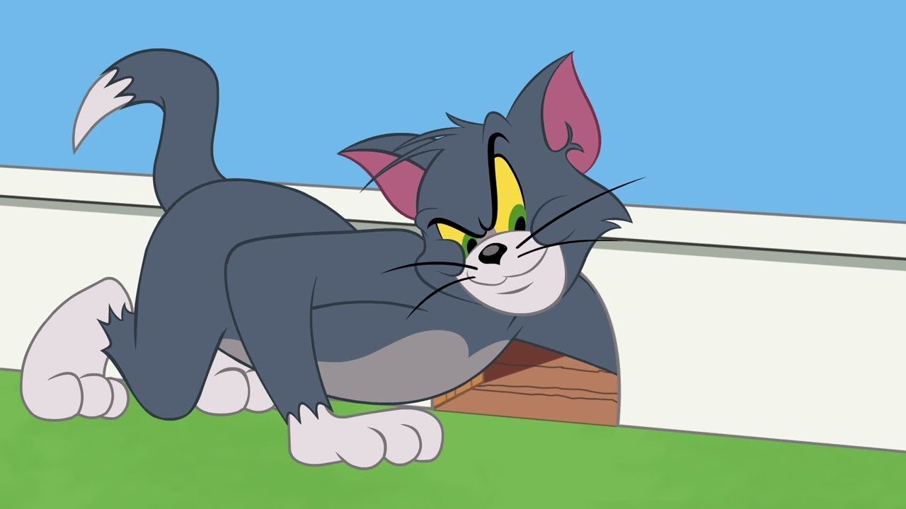 Smitten with the Kitten - YouTube