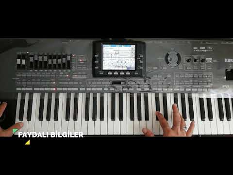 ŞEKER OĞLAN  türküsü nasıl çalınır org dersleri