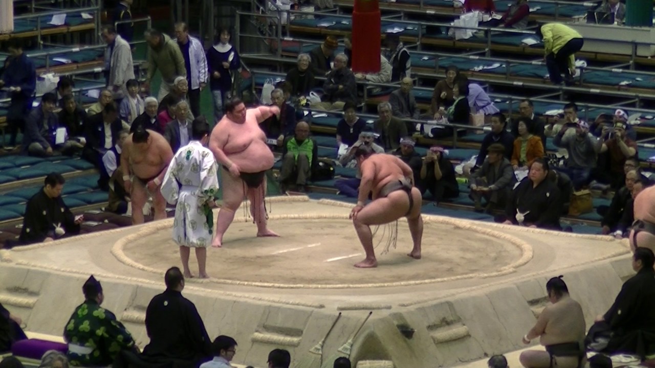 武蔵国-安芸乃山/2017.3.24(7)/musashikuni-akinoyama/day13 #sumo - YouTube