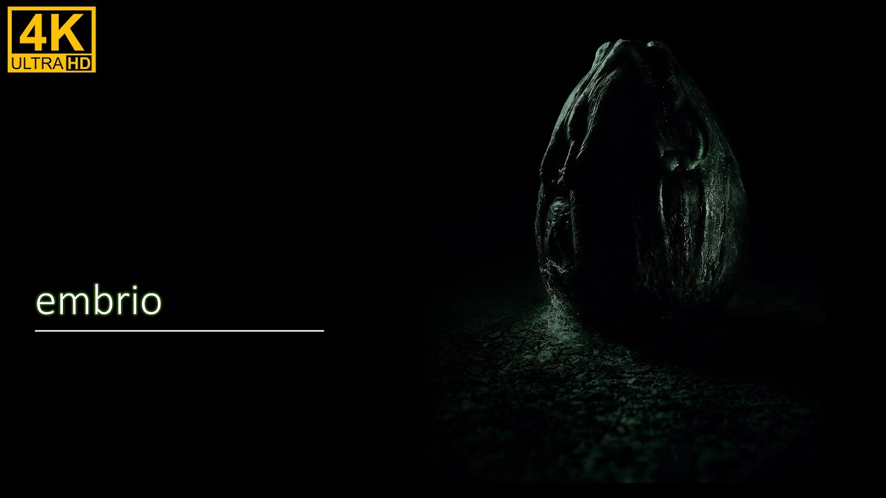 4K Audio Video – 019: Embrio of Creatures | Free License Background ...