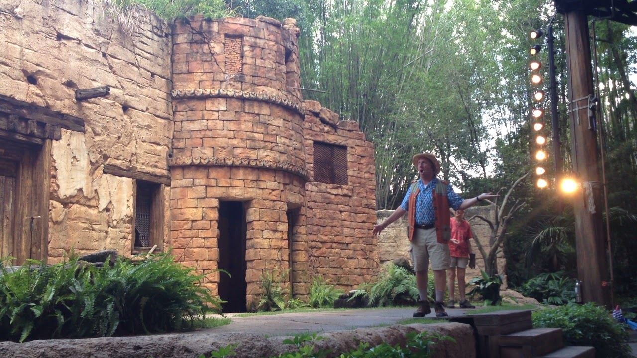 Disney World Bird show - YouTube