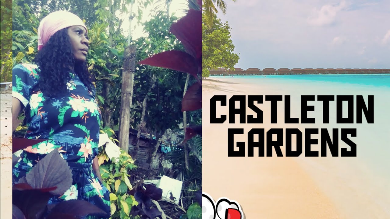 JAMAICA VLOG /CASTLETON BOTANICAL GARDENS - YouTube