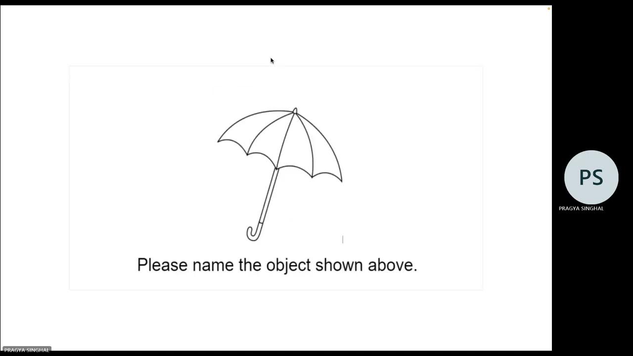 Picture Naming Task - YouTube