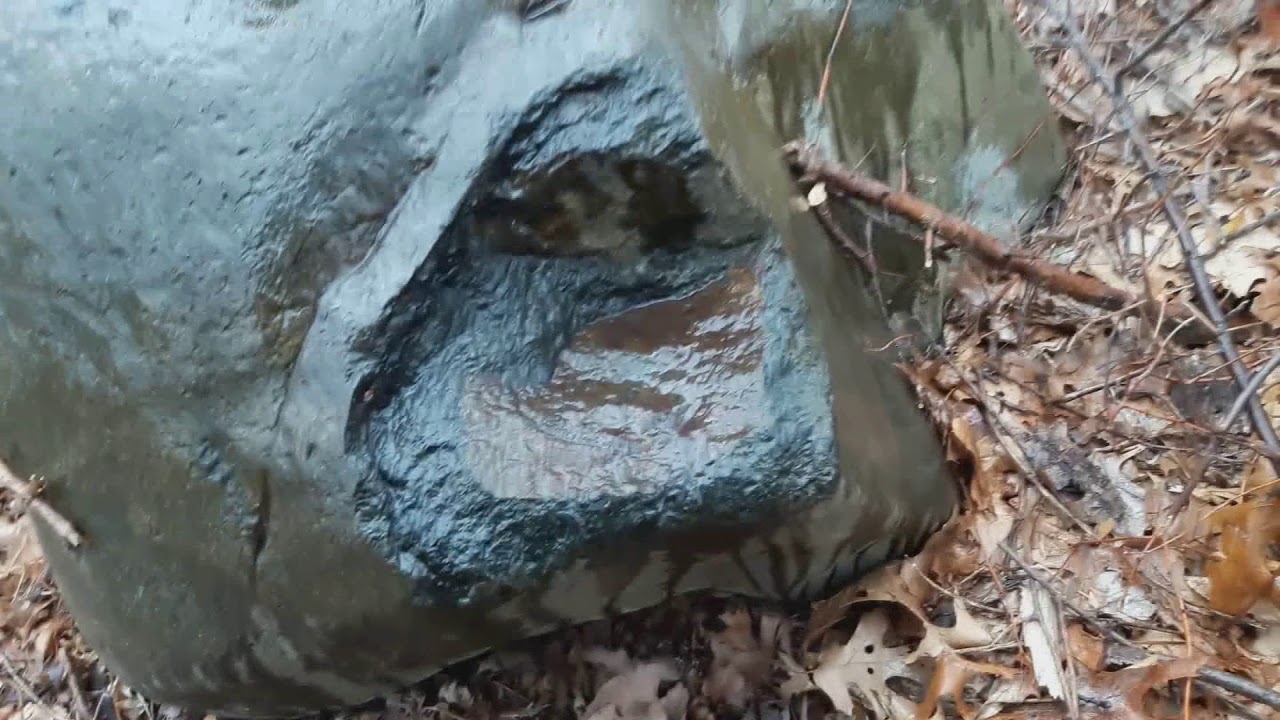Mudfossil Peeling Rock - YouTube