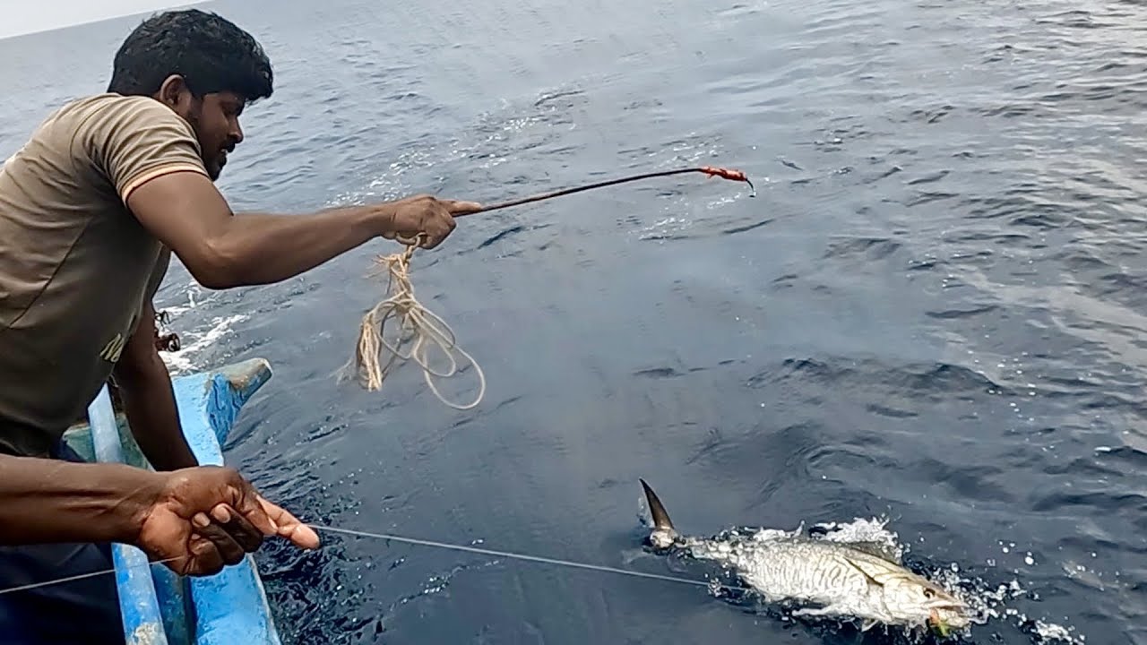 Back to Back King Fish Caught in the Deep Sea - YouTube