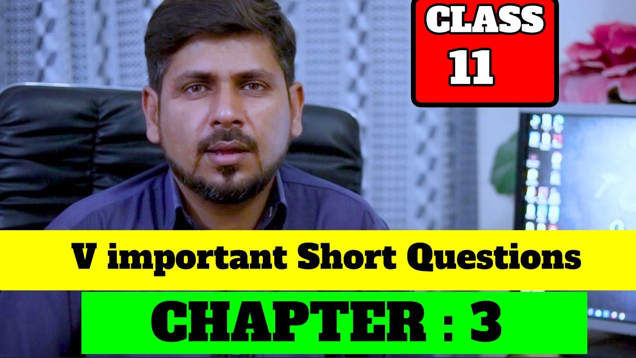 computer science | class 11 | chapter 3 short questions v.v. important ...