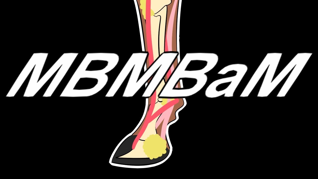 MBMBaM Animatic: Horsebonologist - YouTube