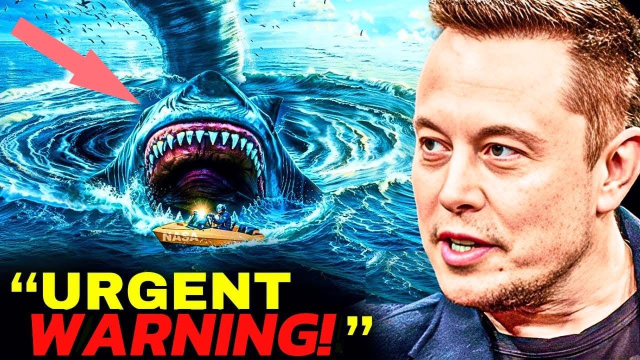 MIND-BLOWING Bermuda Triangle Secrets REVEALED by Elon Musk! - YouTube