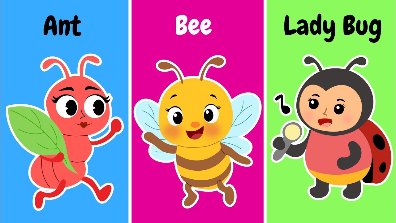 Learn Bugs and Insects for Kids | Insects and Bugs | Bugs | Insect ...