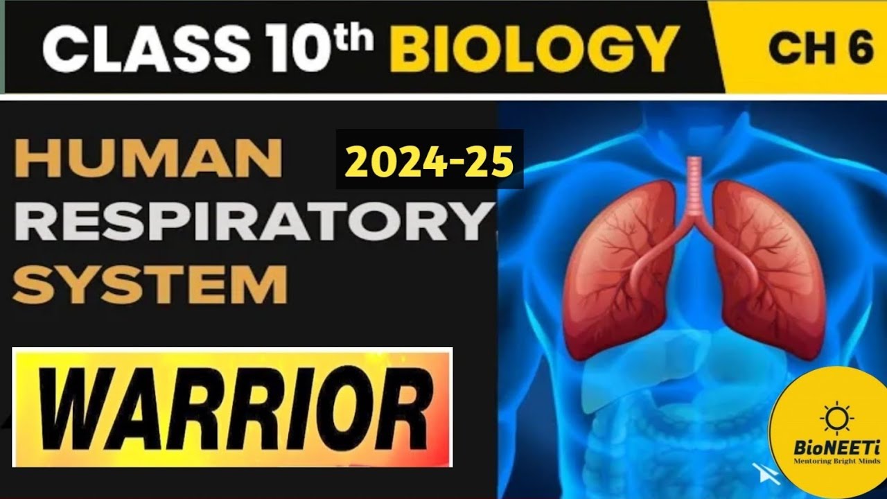 Human Respiratory System -Life Processes Class 10 Biology Science NCERT ...