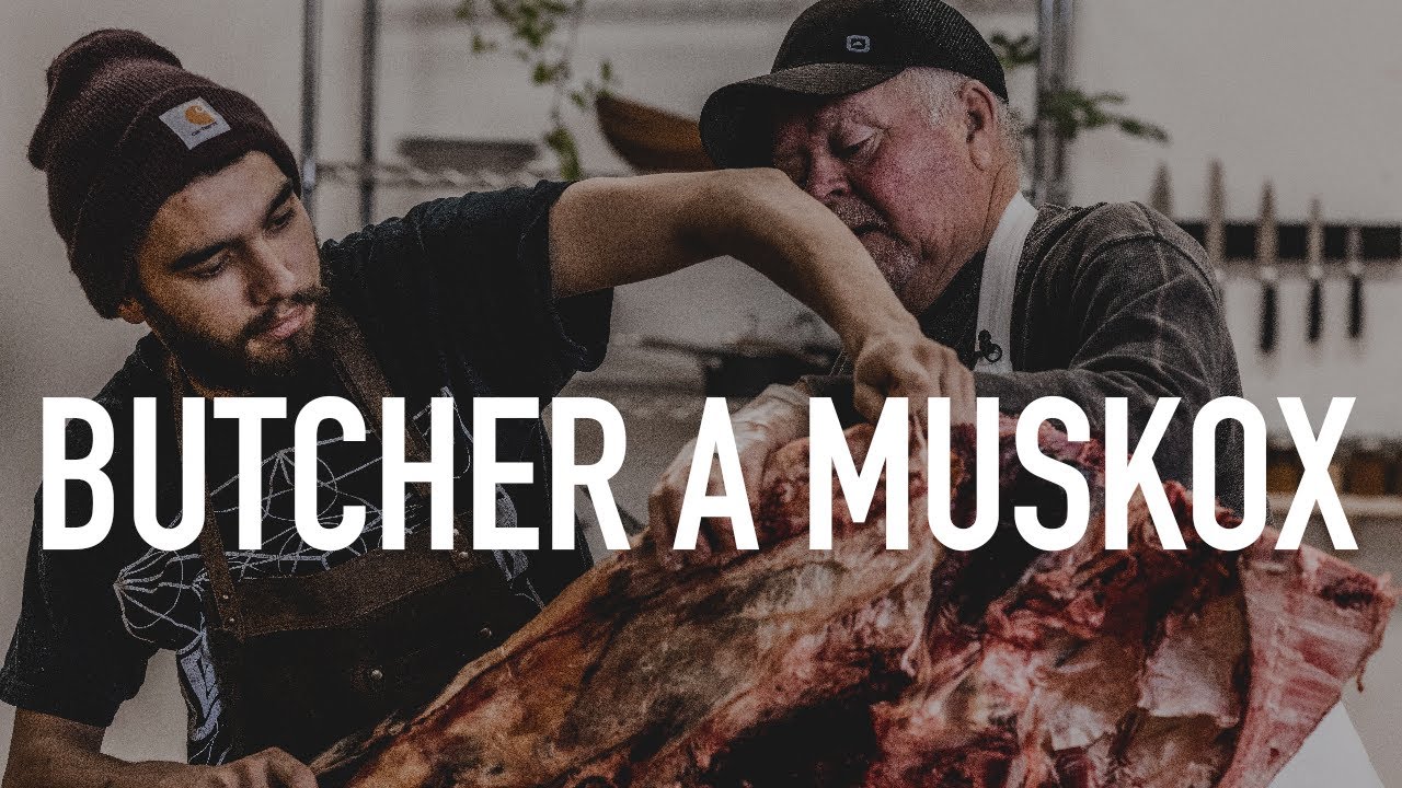 Butchering a Muskox - YouTube