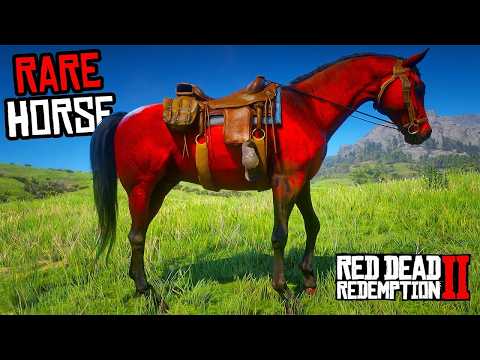 The Rarest Horse & Outfit in Red Dead Redemption 2