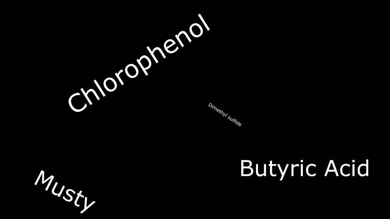 Beer faults in under 5 minutes, Introduction - YouTube