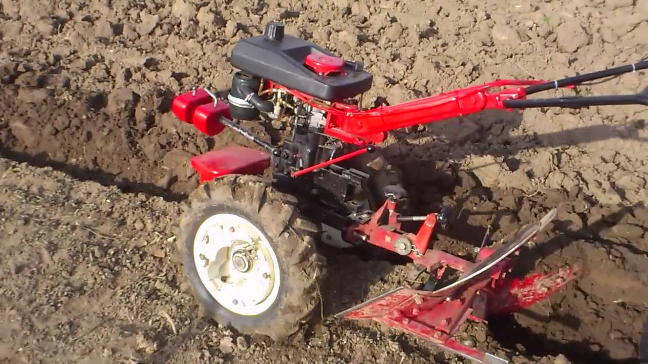 Orba s Tera Vari-Cestice 2013 - YouTube