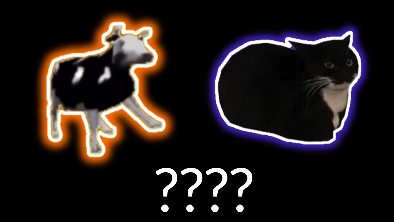 12 Maxwell The Cat Vs Polish Cow Sound Variations in 66 Seconds - YouTube