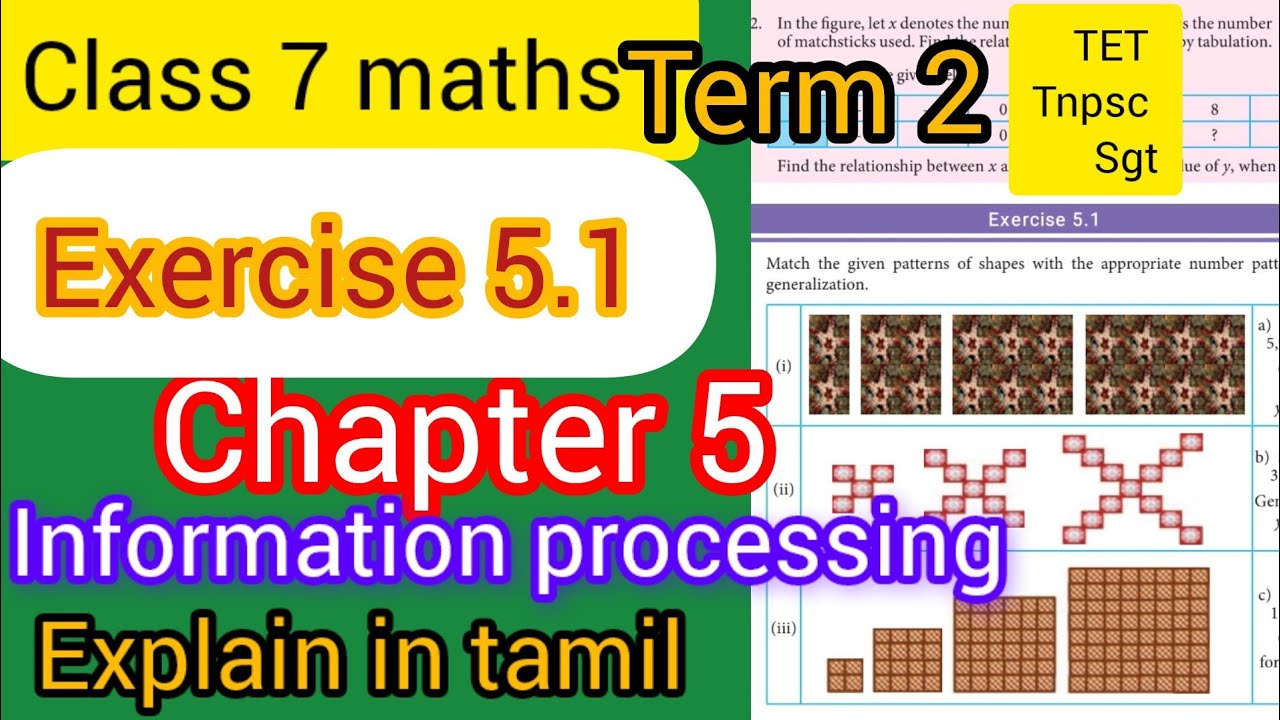 exercise 5.1,7th standard maths,term 2, chapter 5, information ...