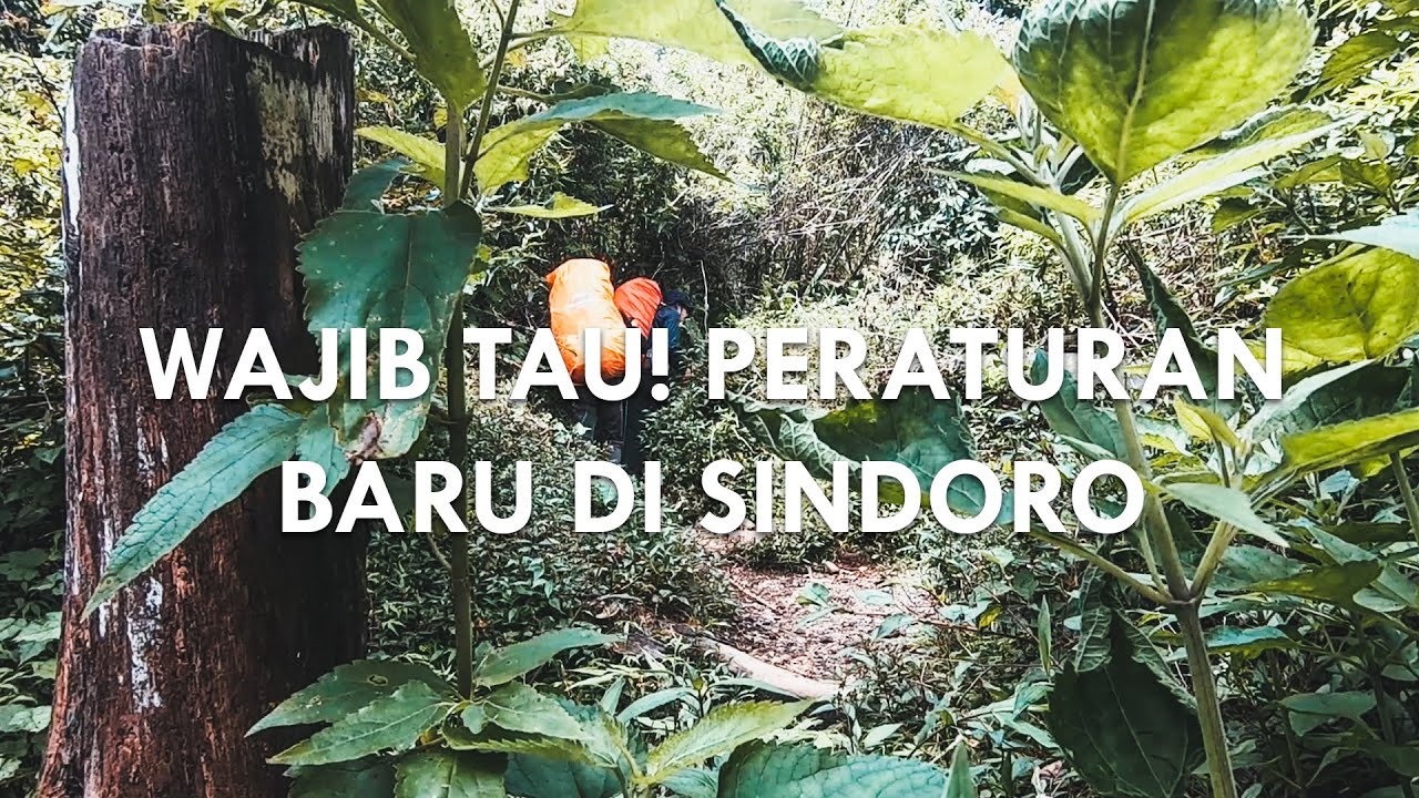 Peraturan terbaru di Sindoro!!! • Gunung Sindoro via Kledung Part #01 ...