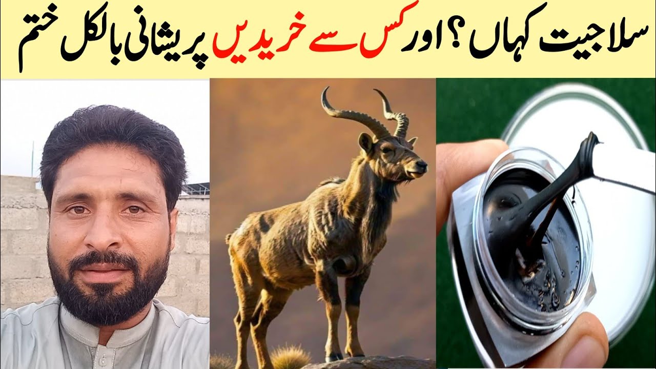AUTHENTIC SHILAJIT IN PAKISTAN How to Identify Pure Salajeet (Pehchaan ...